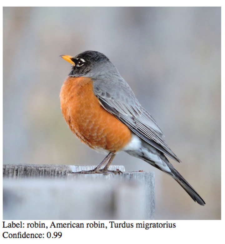 [REF] 이미지 분류기 구현, ImageClassifier – ML5.js « Makezone – 인터랙티브 미디어, fablication 그리고 사물인터넷(IoT)